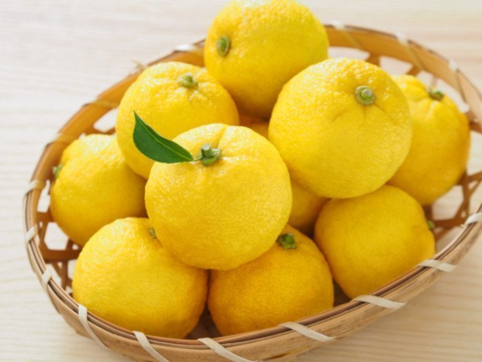 13 Surprising Benefits Of Yuzu Fruit Wana Beverage