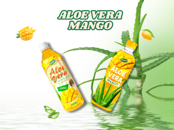 Discover the Refreshing Power of Aloe Vera Mango Drinks
