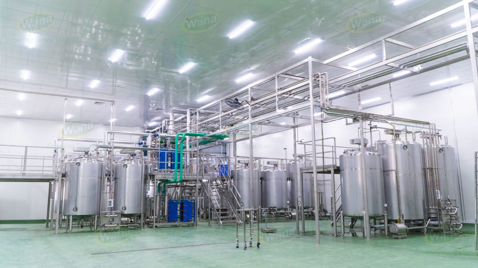 Why Cheap Beverage Manufacturing Can Be Risky | Wana Beverage